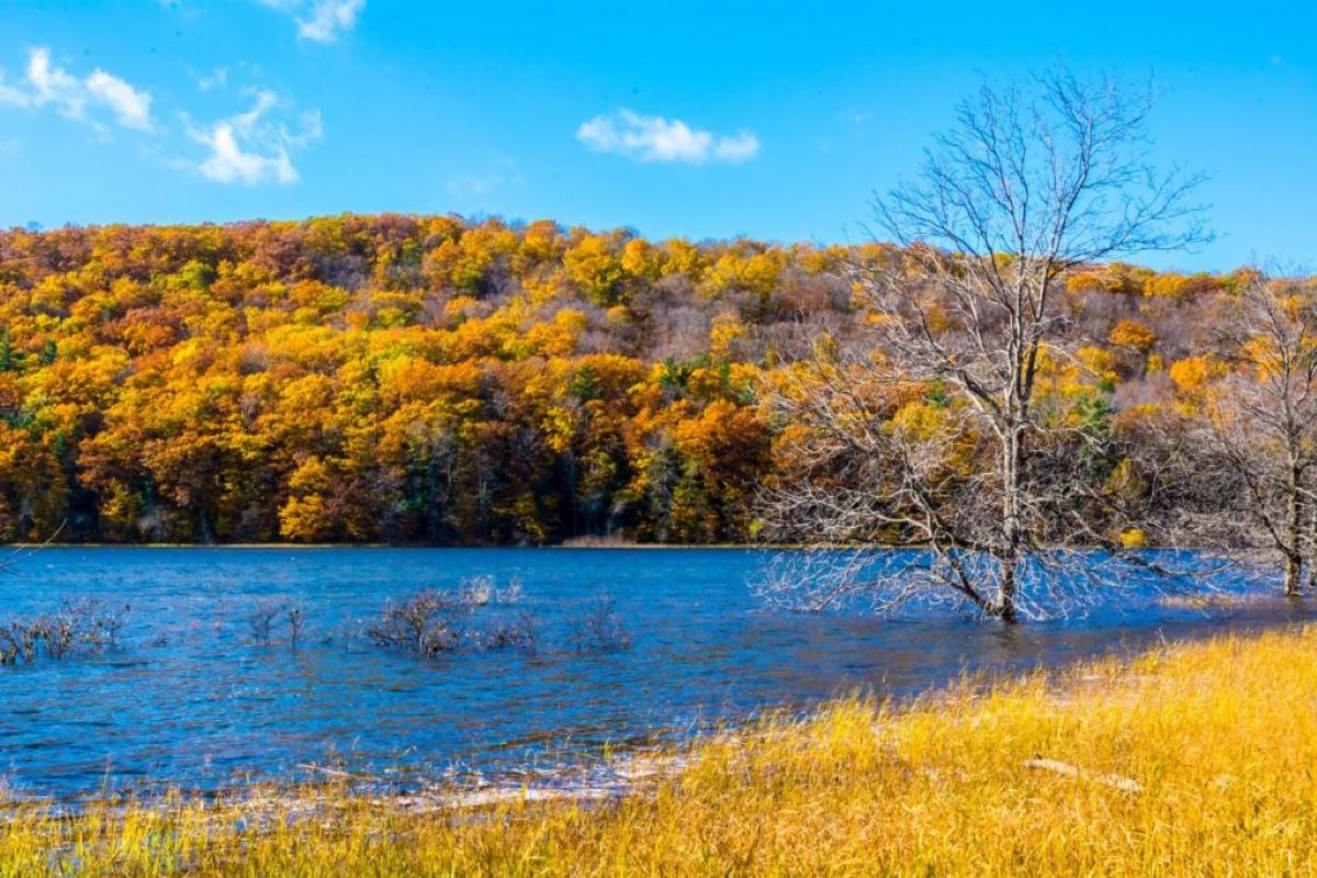 A Few of Our Favorite Fall Things - Up North Blog