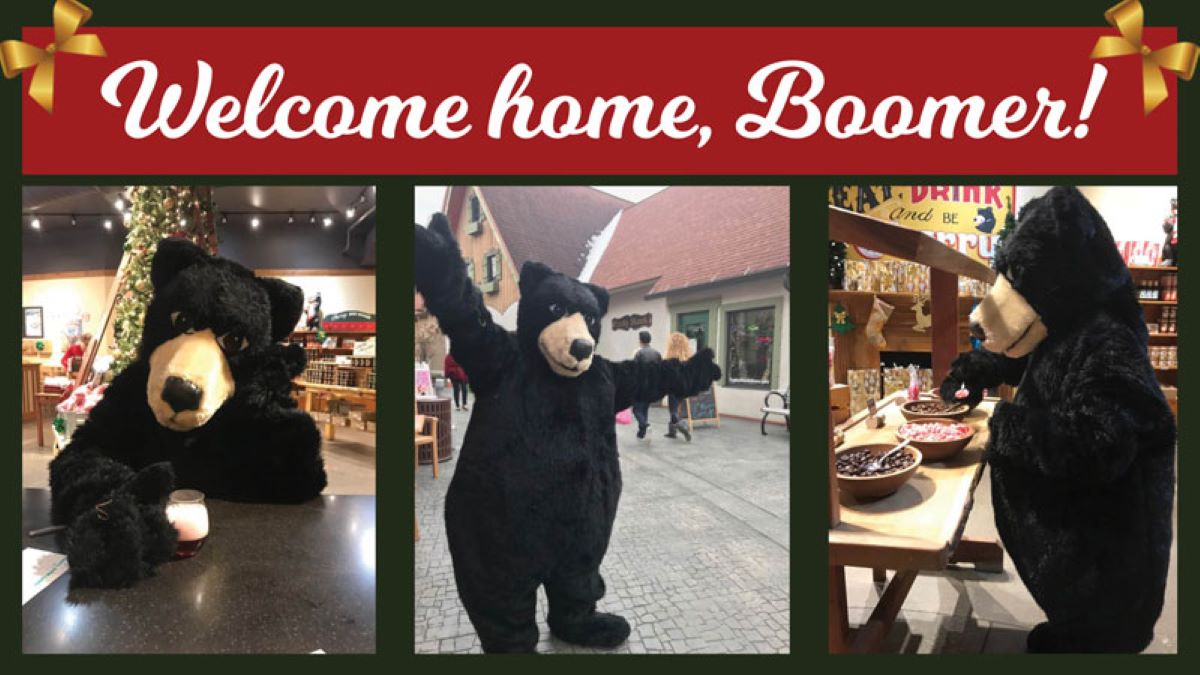 Boomer Bear Makes It Home For Christmas - Up North Blog